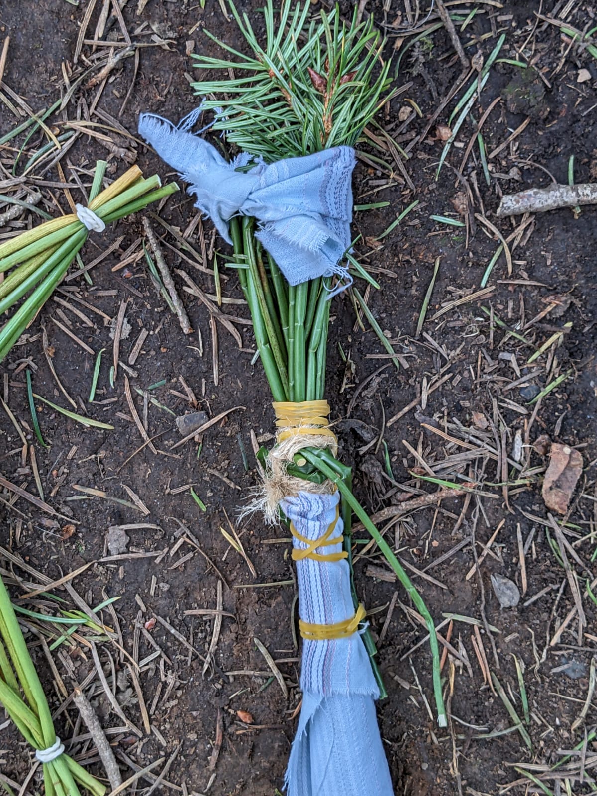 3rd & 4th class – 3rd February – Brídeog – DSPNS