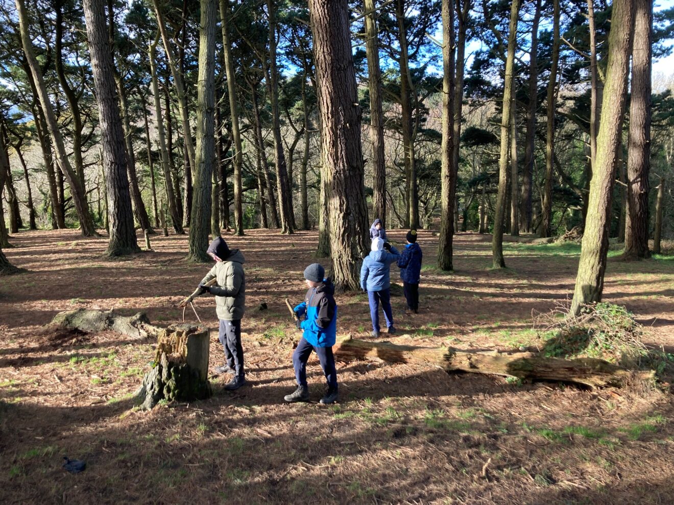 Principles of Forest school – Woodland setting – DSPNS