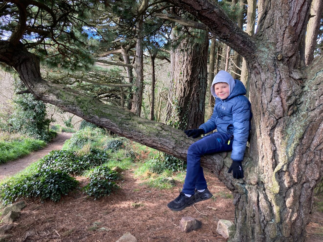 Principles of Forest school – Woodland setting – DSPNS